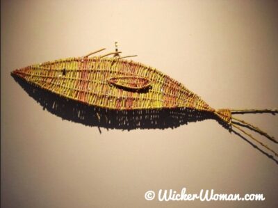 My Willow Fish in Exhibit | The Wicker Woman